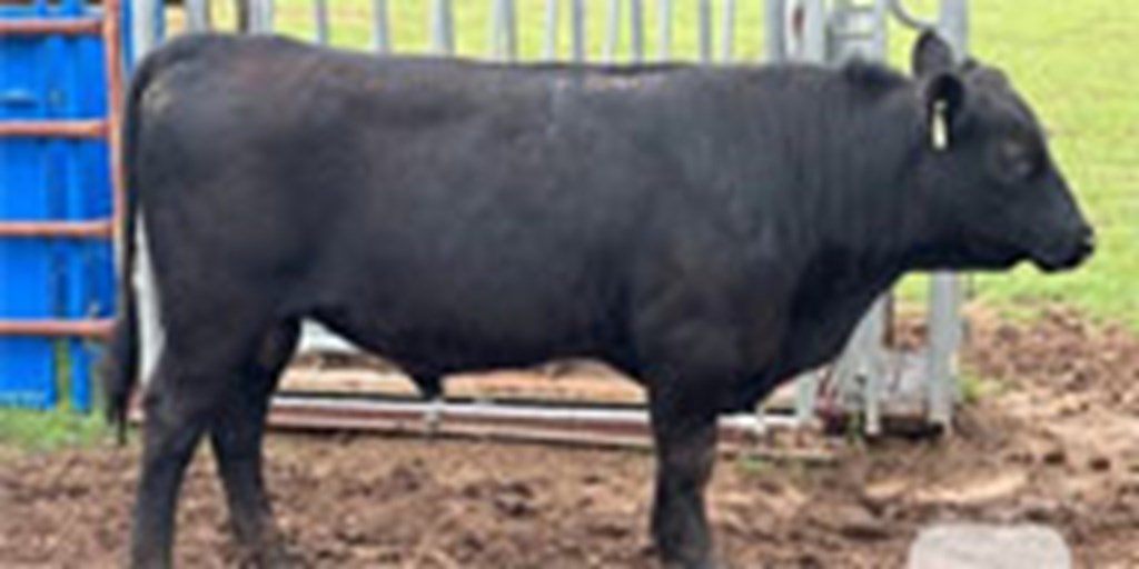 Listings Cattle Range