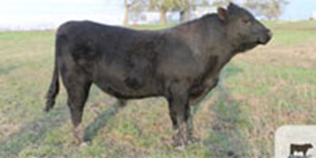 Listings Cattle Range