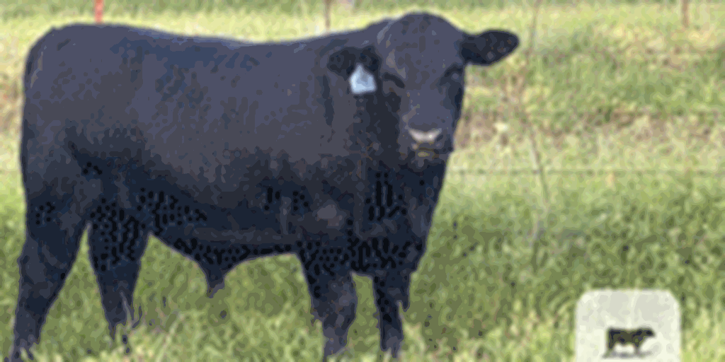 Listings Cattle Range