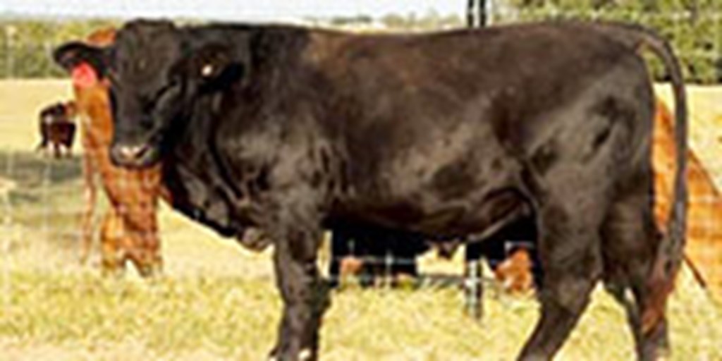 Listings Cattle Range