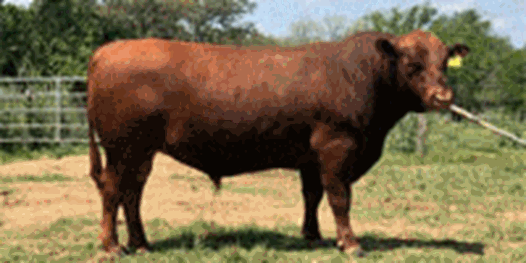Listings Cattle Range