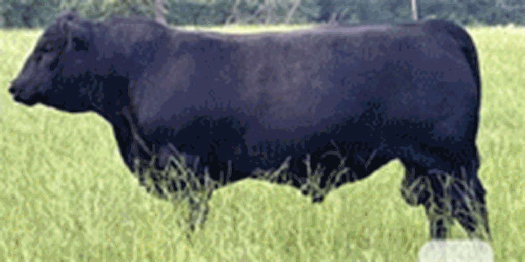 Listings Cattle Range