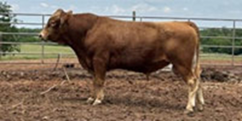 Listings Cattle Range