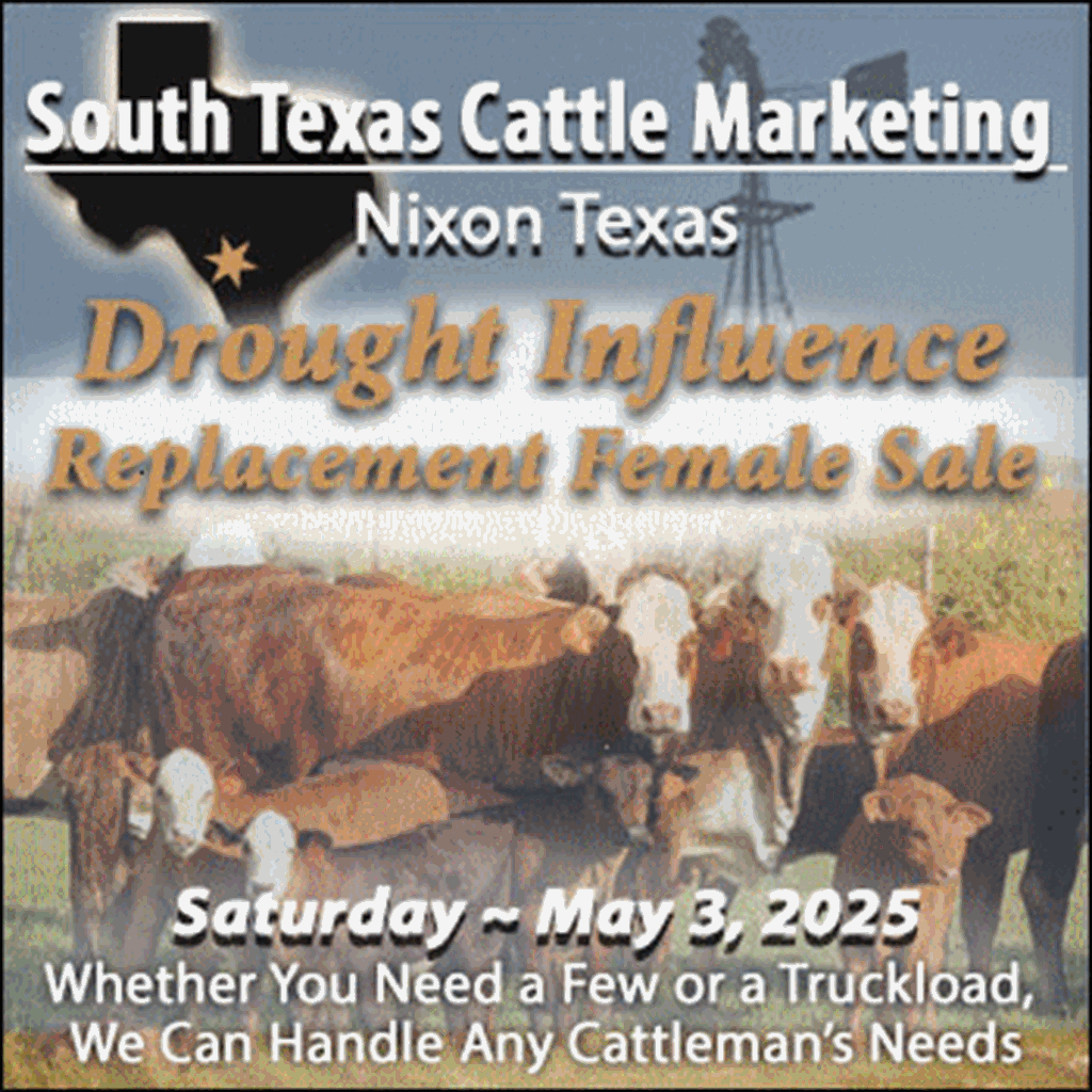 Estimates for the 3/21/25 Cattle on Feed Report Cattle Range Estimates for the 3/21/25 Cattle on Feed Report Cattle Range