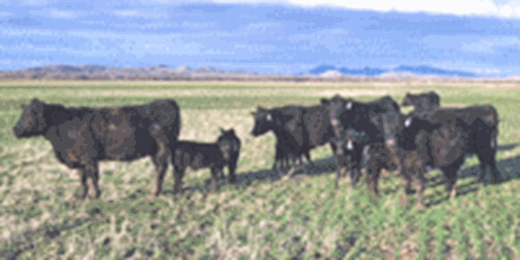 Listings Cattle Range