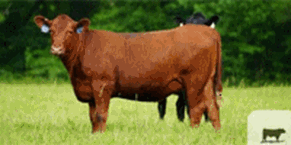 Listings Cattle Range