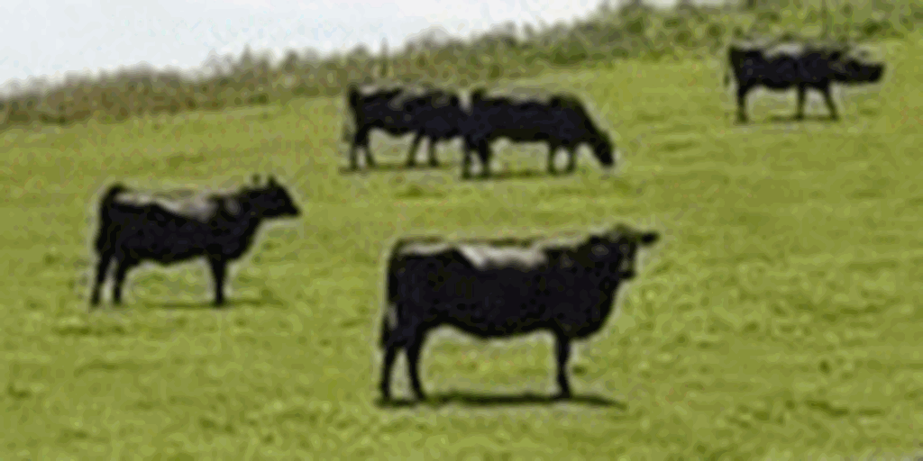 Listings Cattle Range