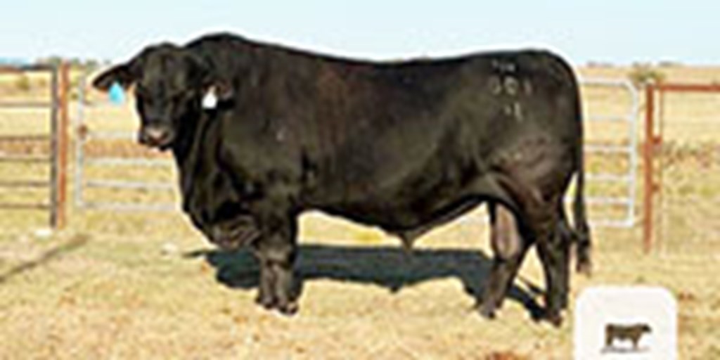 Listings Cattle Range