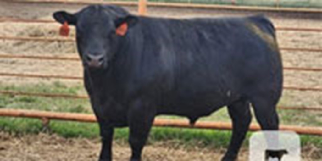 Listings Cattle Range