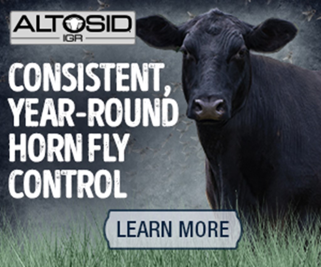 Cattle Range Home Cattle Range