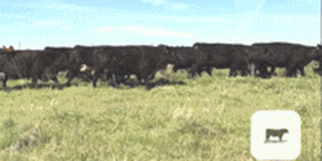 Listings Cattle Range