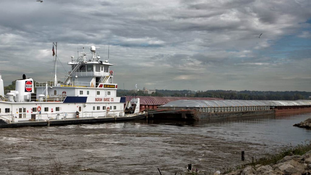 Barges grounded by Low Water halt Mississippi River Traffic Cattle Range
