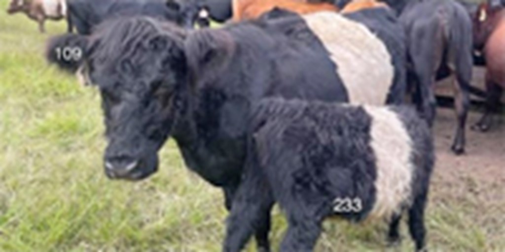 Listings Cattle Range