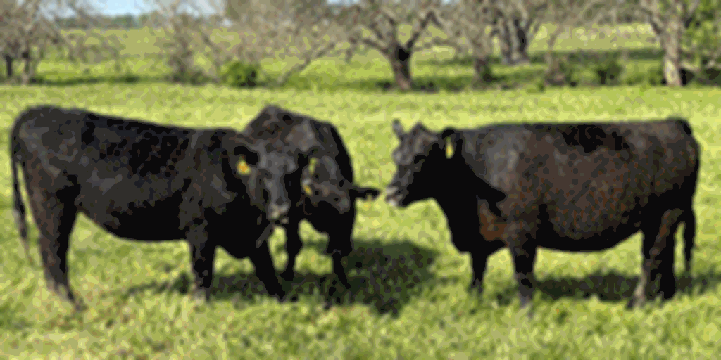 Listings Cattle Range