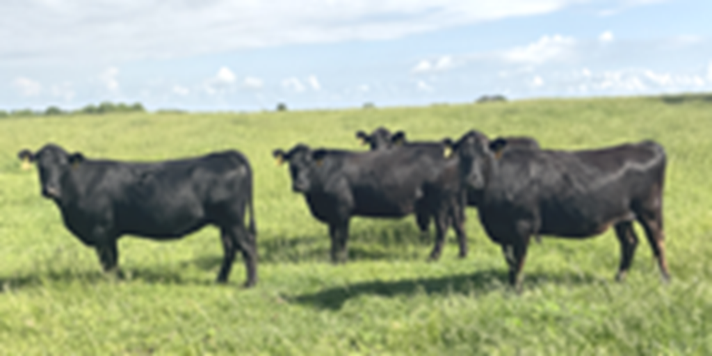 Listings Cattle Range