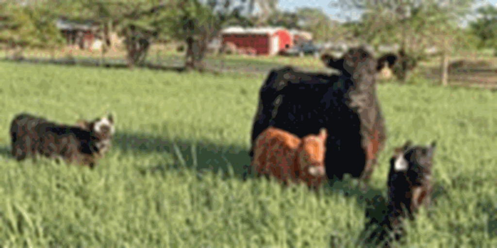 Listings Cattle Range