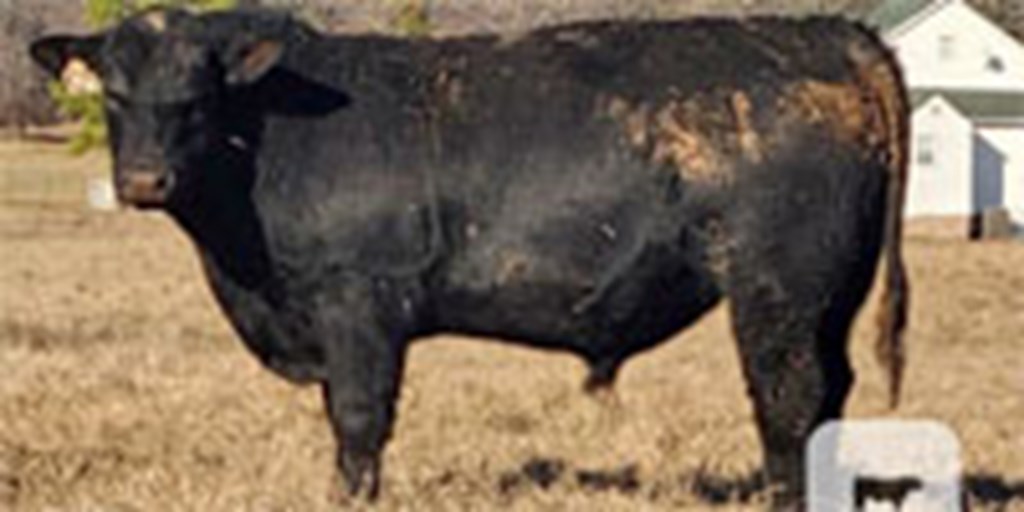 Listings Cattle Range