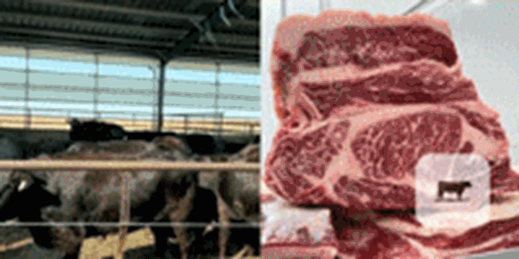 Listings Cattle Range