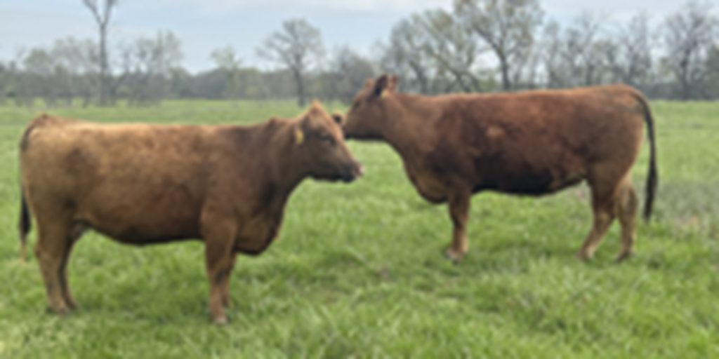 Listings Cattle Range