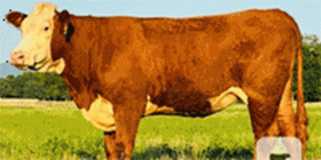 Listings Cattle Range