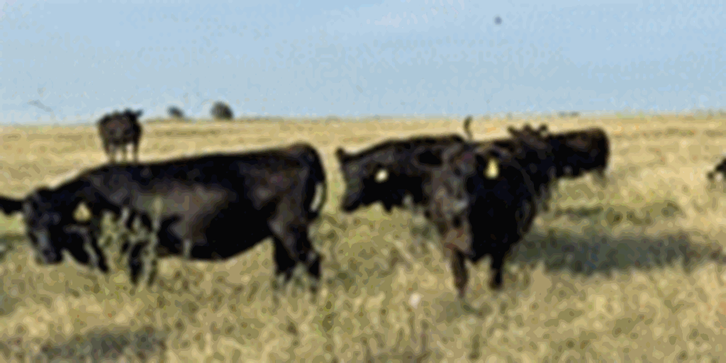 Listings Cattle Range