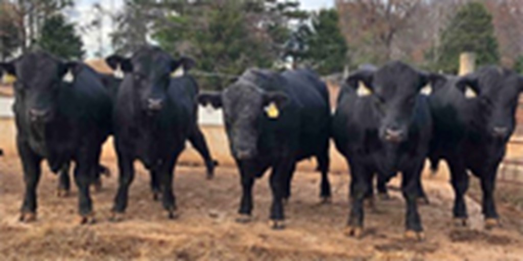 Listings Cattle Range