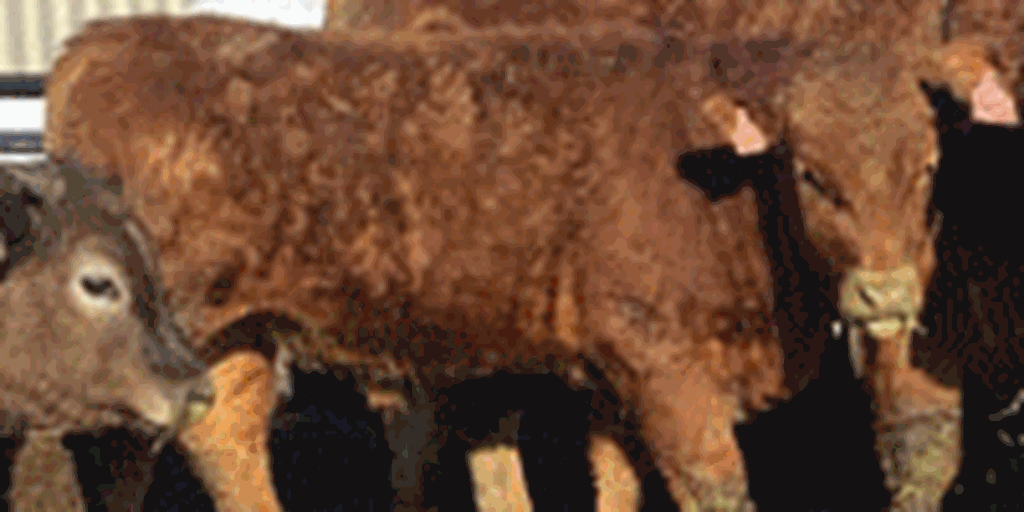 Listings Cattle Range