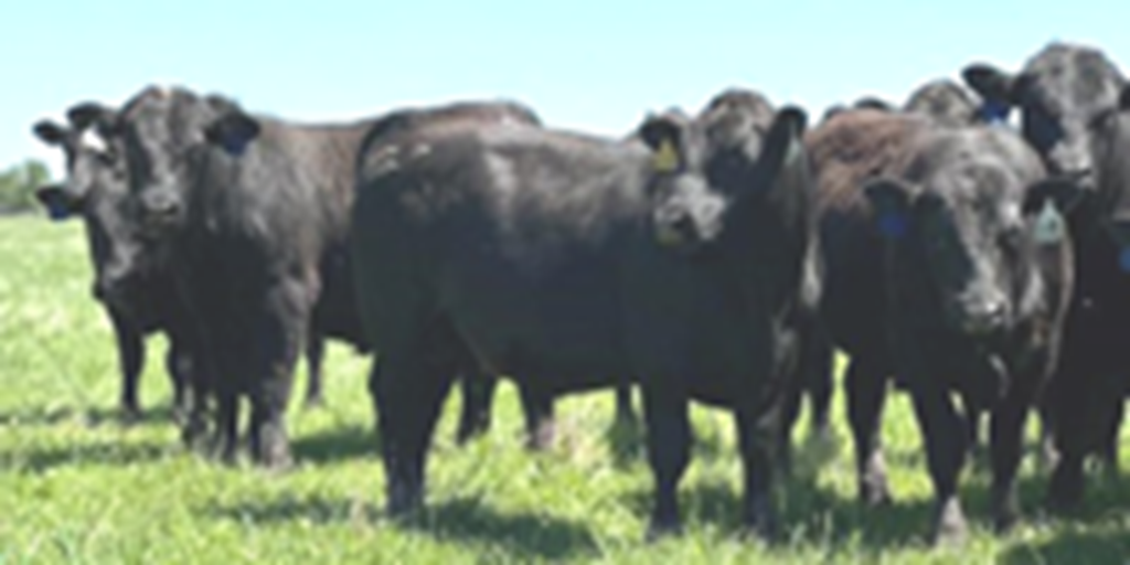 Listings Cattle Range