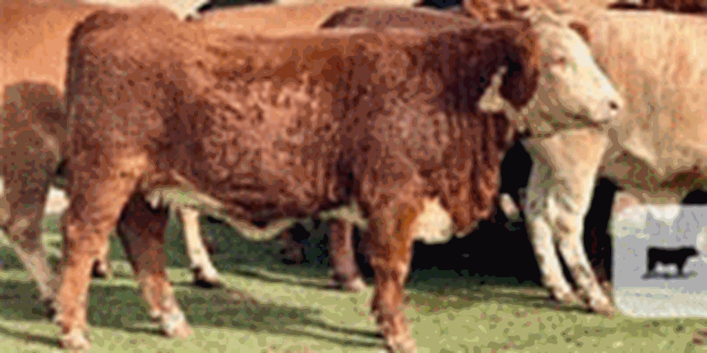 Listings Cattle Range