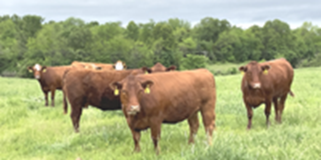 Listings Cattle Range