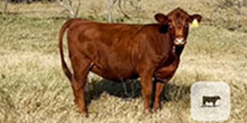 Listings Cattle Range