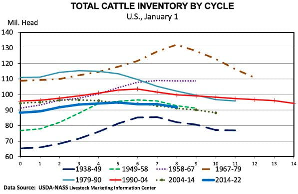 The Cattle Cycle: It can be a long 10 years Cattle Range